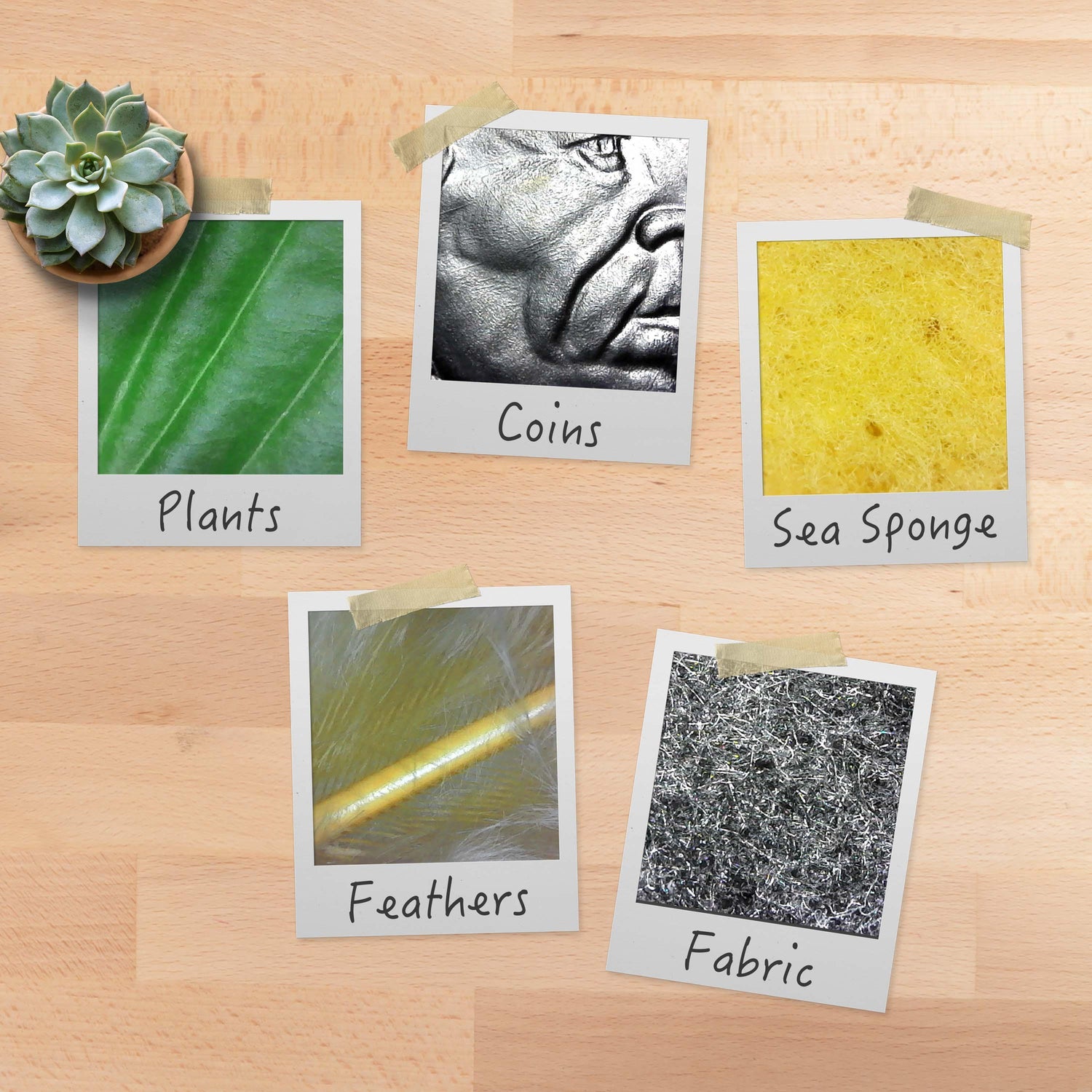 Plugable 250x Digital USB Microscope with Observation Stand ~ Plugable ...