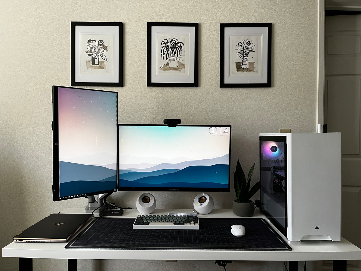 Setup Showcase: How I Use My KVM Monitor to Share Devices Between Two ...