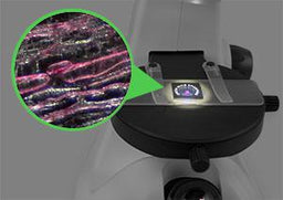 Plugable 800x Inverted Digital/Optical USB Microscope – Plugable ...
