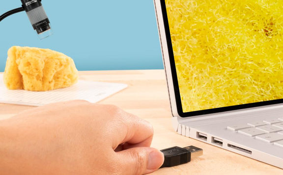 Plugable 250x Digital USB Microscope with Observation Stand – Plugable ...