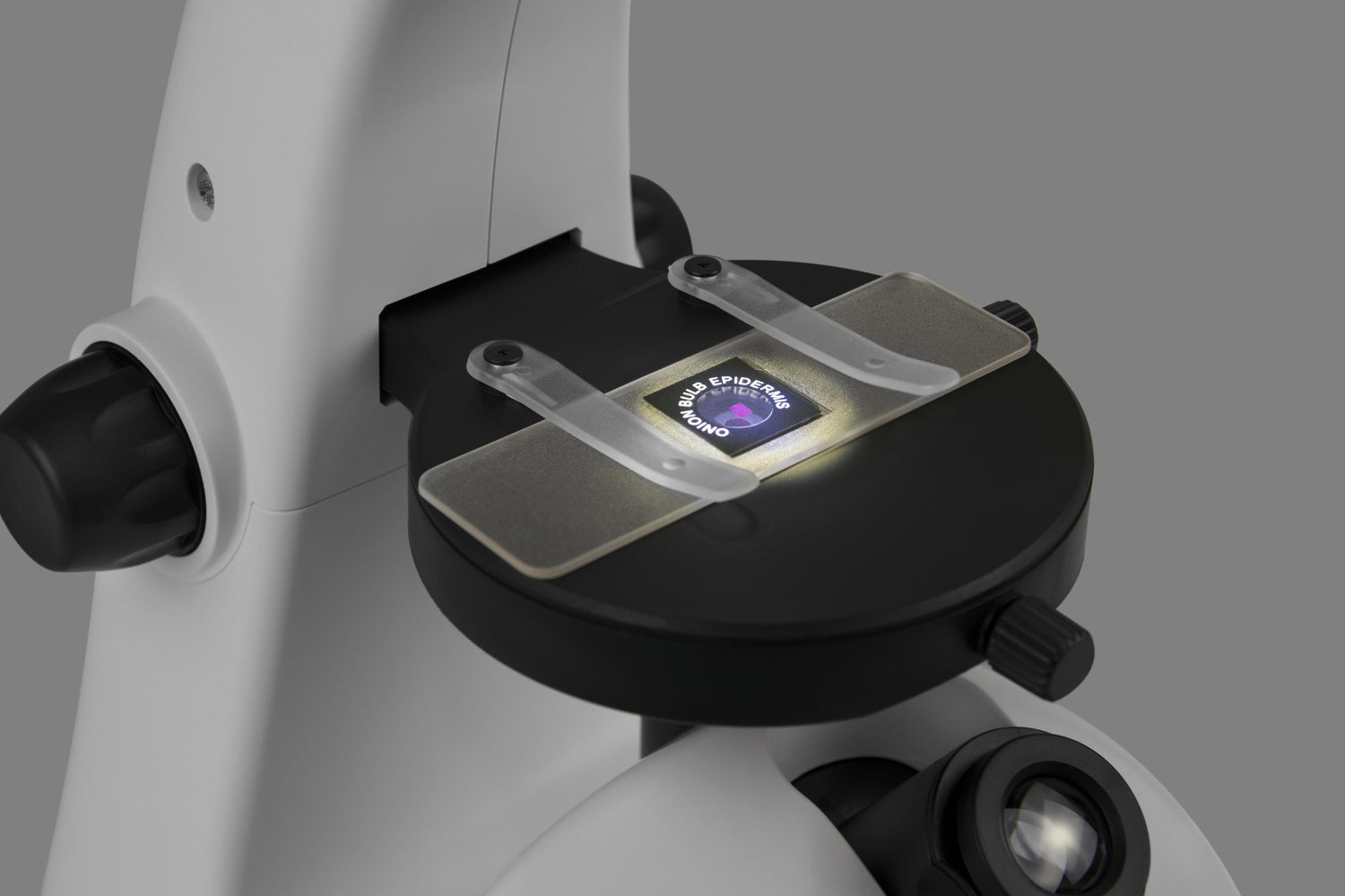 Plugable 800x Inverted Digital/Optical USB Microscope ~ Plugable ...