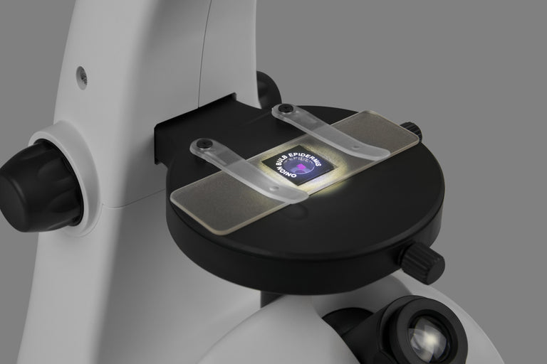 Plugable 800x Inverted Digital/Optical USB Microscope ~ Plugable ...